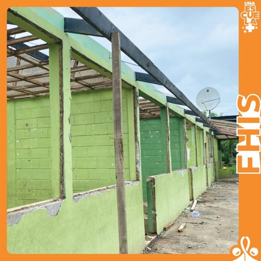 PROYECTO EN EJECUCIÓN – FHIS