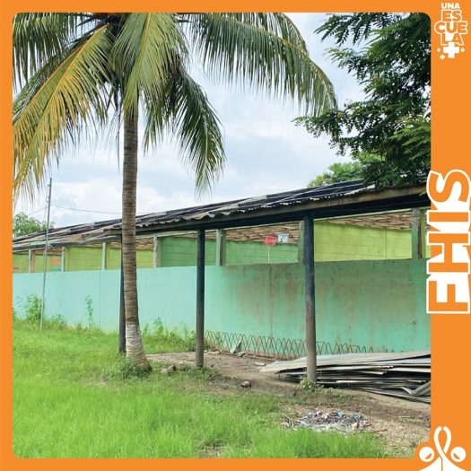 PROYECTO EN EJECUCIÓN – FHIS